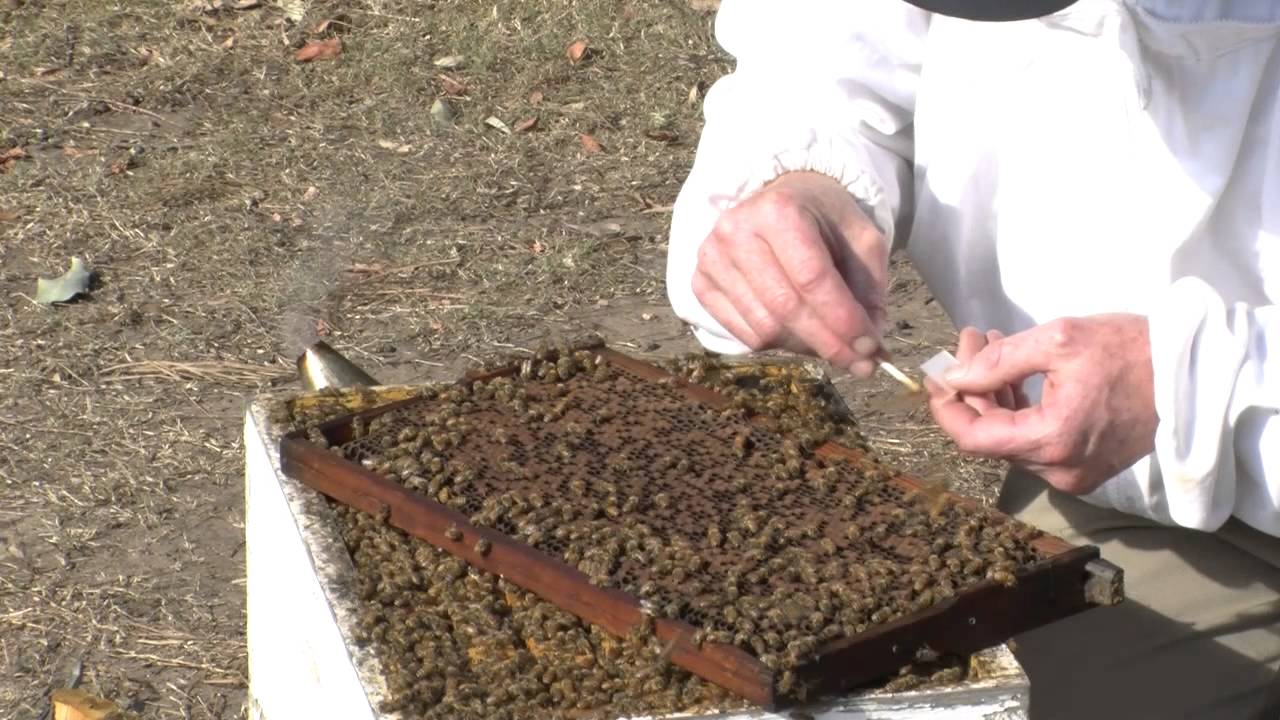 Taking samples - YouTube