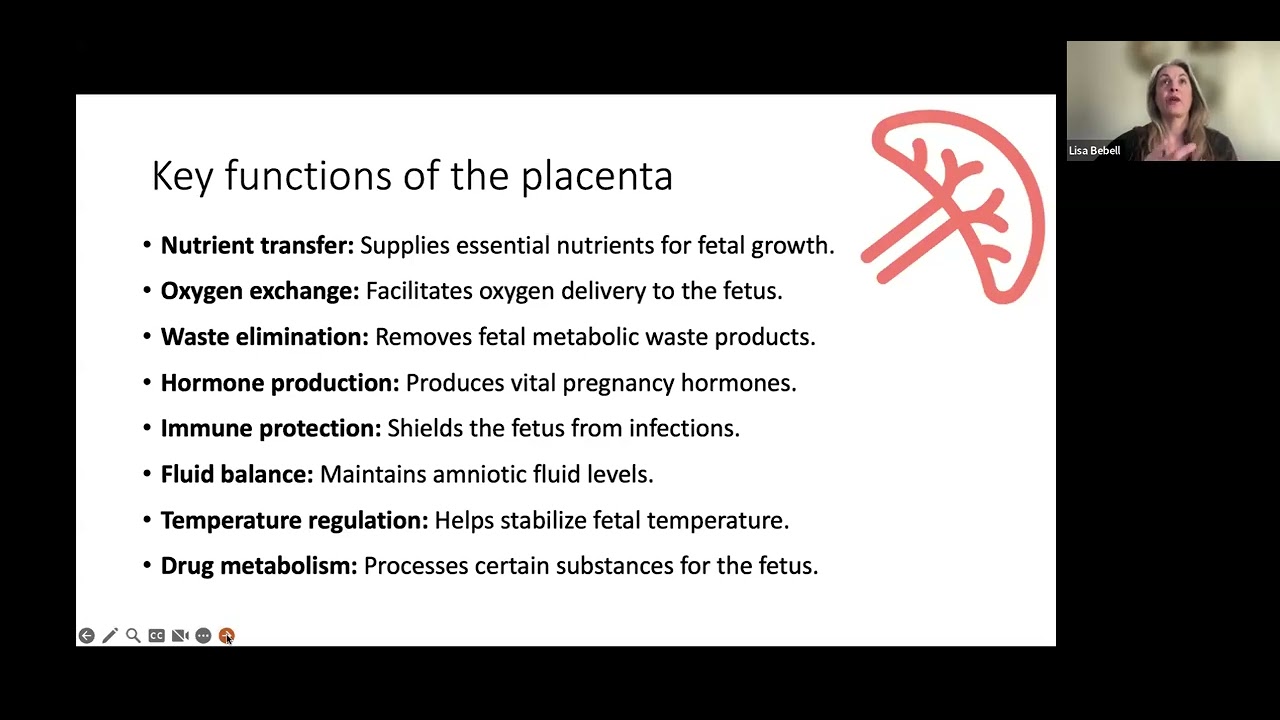 Role of the Placenta in Pregnancy and Child Health - YouTube
