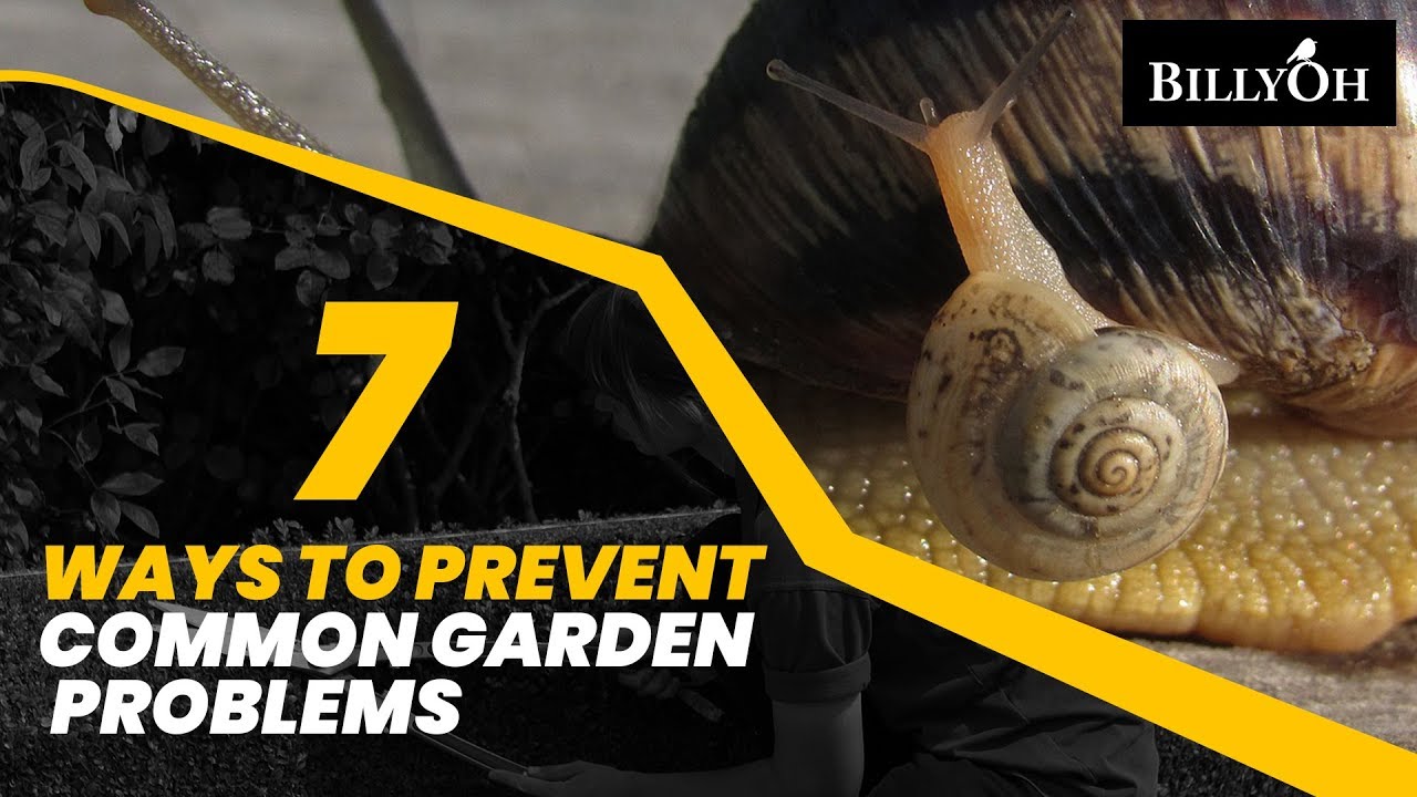 7 Ways to Prevent Common Garden Problems - Gardening Tips For Beginners ...