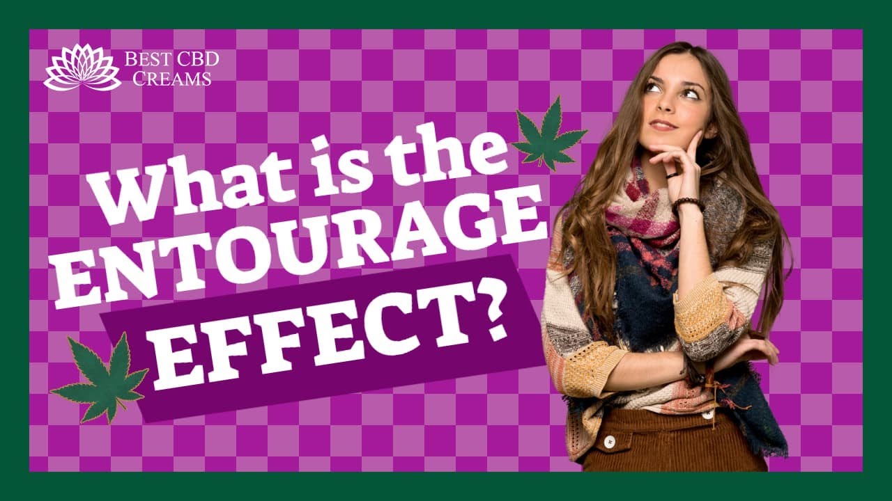 CBD with best entourage effect - YouTube