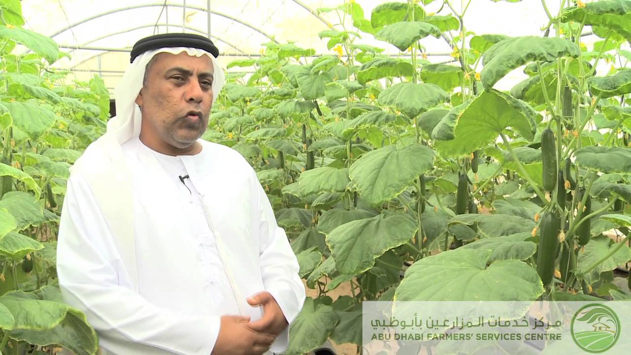 Ali Bakheet Al Mouzrei - YouTube