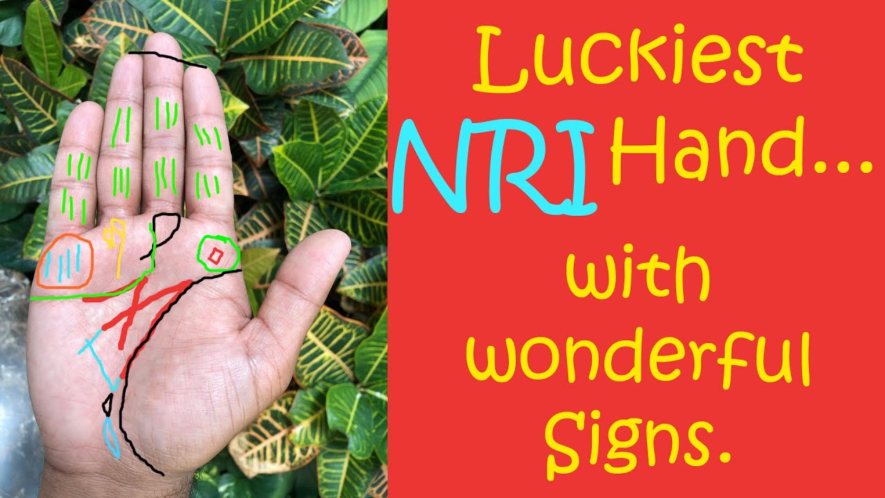 Luckiest NRI Hand...with wonderful Signs. - YouTube