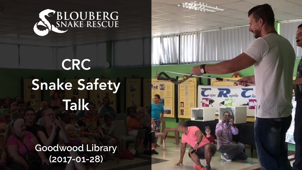 Cape Reptile Club - Snake Safety Talk at Goodwood Public Library ...