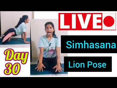 LiveSession-30 Simhasana/Lion Pose/Yoga Flexibility Stretch Hathayoga ...