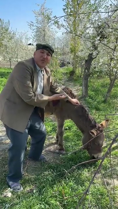 иккичи хотини икан 🤣🤣😂🤣🤣🤣🤣 - YouTube