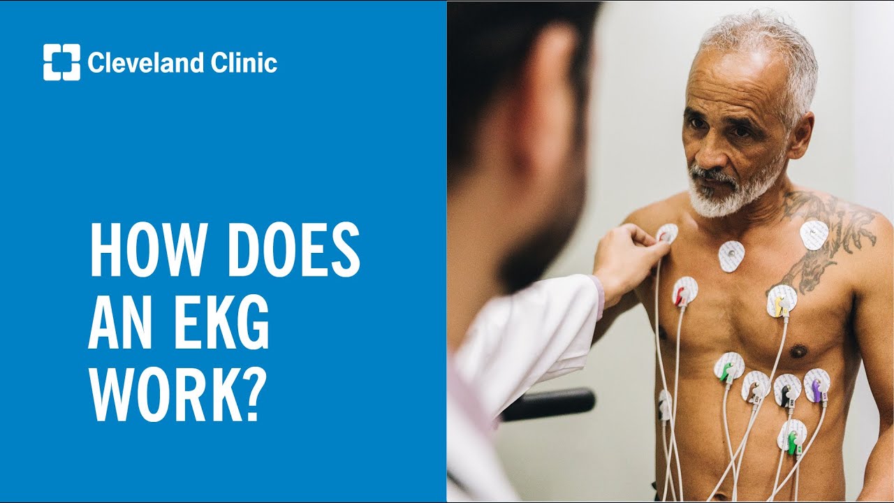 How Does an EKG Work? - YouTube