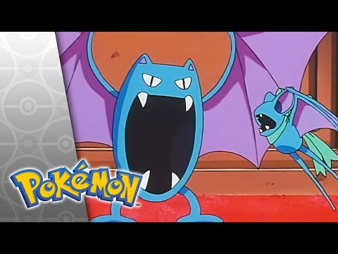 Hassle in the Castle | POKÉMON FULL EPISODE 8 | Season 4