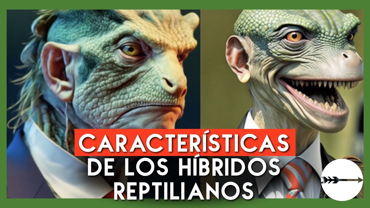 20 Características de los HÍBRIDOS REPTILIANOS 🐍 - YouTube