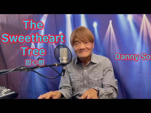 Danny So - The Sweetheart Tree-甜心樹-蘇雄-网络歌黐-港式西曲-中西合壁 - YouTube