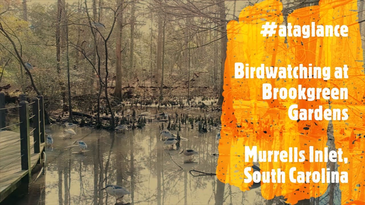 Socastee Swing Bridge Park - Myrtle Beach, South Carolina - YouTube