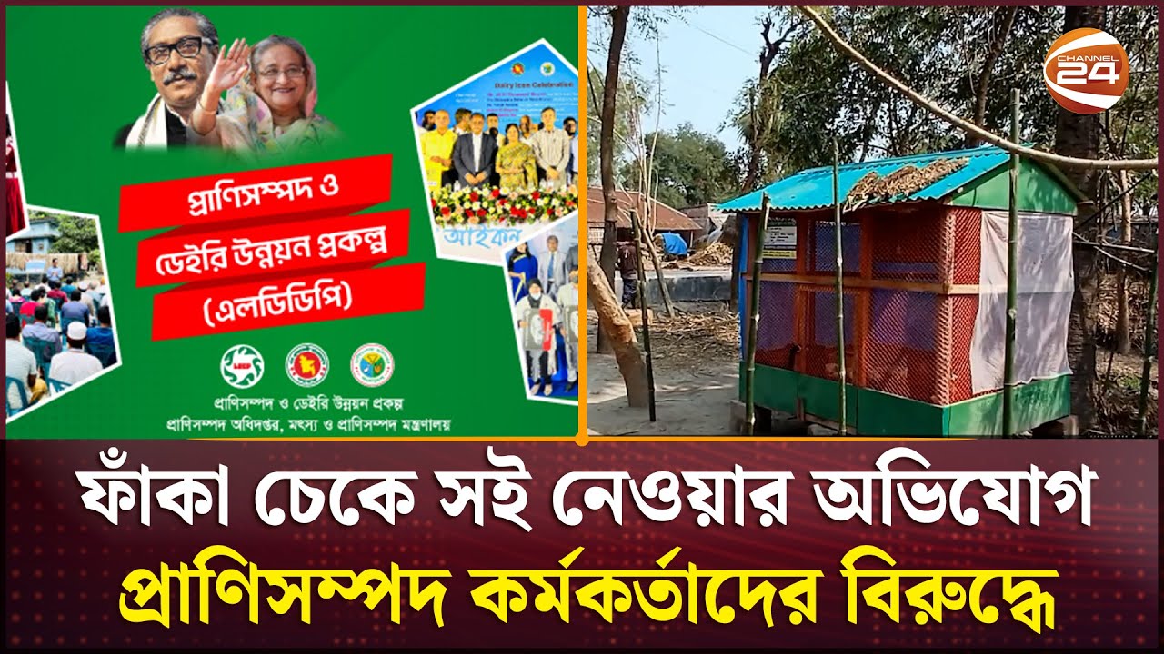এলডিডিপি প্রকল্পে অনিয়ম | LDDP | Channel 24 - YouTube