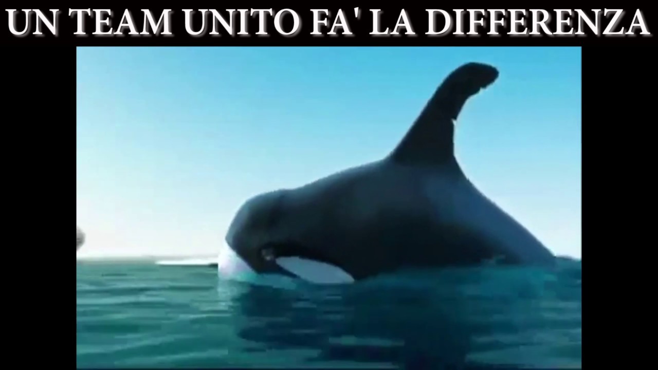 Un TEAM unito fa la differenza - YouTube