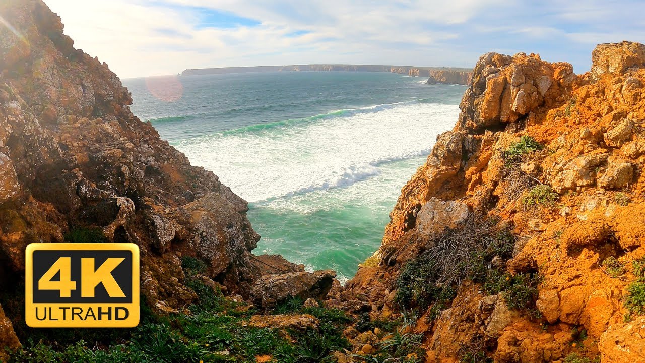 The majestic beauty of the sea, 12 Hours Live Wallpaper, Screensaver ...