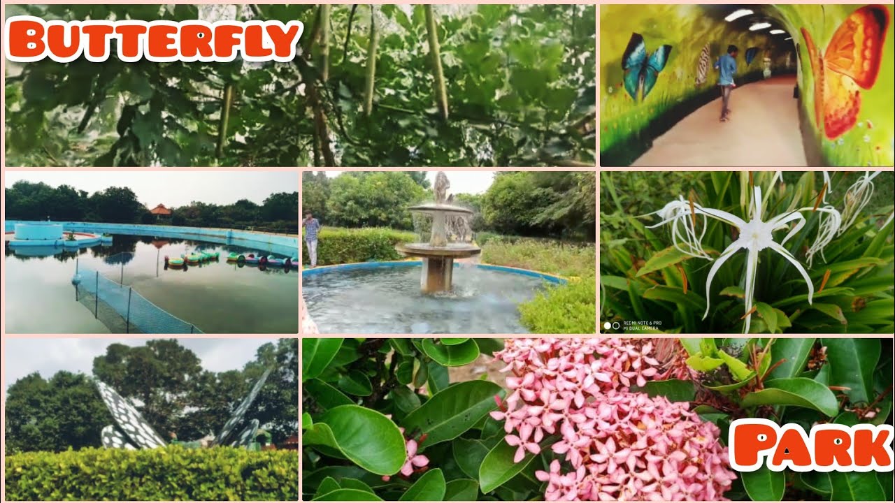 Trichy Butterfly Park India s Biggest Butterfly Park In Srirangam trichy-butterfly-park-india-s-biggest-butterfly-park-in-srirangam