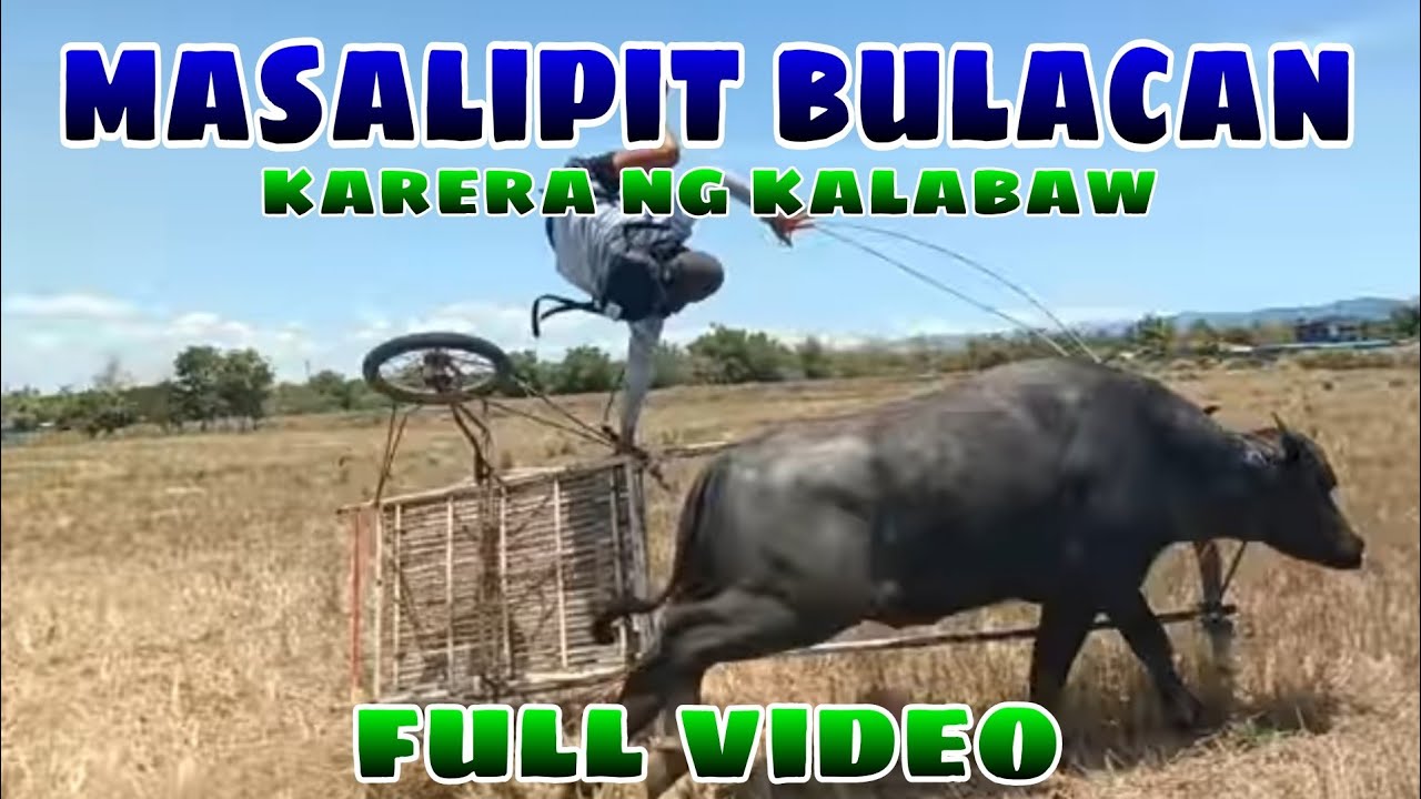 Masalipit bulacan karera ng kalabaw full video - YouTube