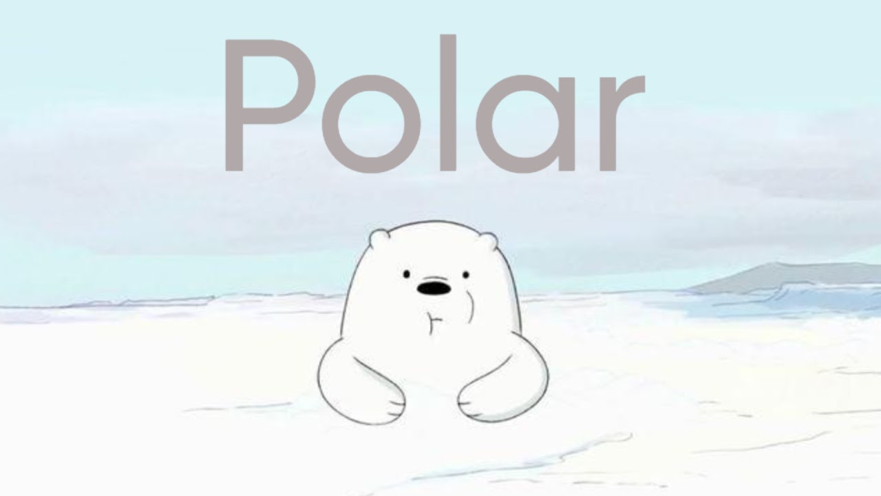 Polar Live Stream - YouTube