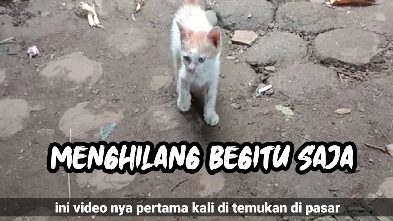 MENGHILANG BEGITU SAJA - YouTube