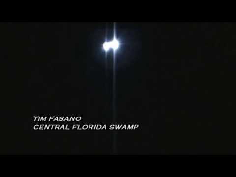 Best Tree Knocking Bigfoot At Night - YouTube