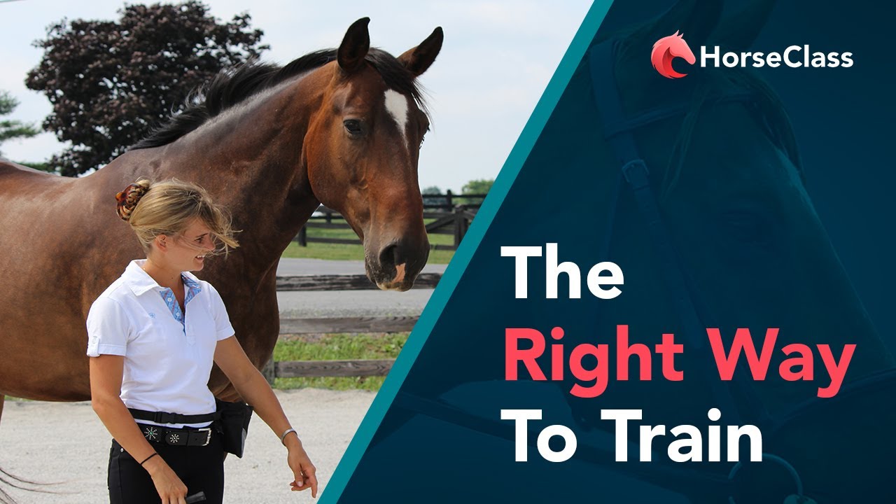 The "Right" Way to Train? - YouTube
