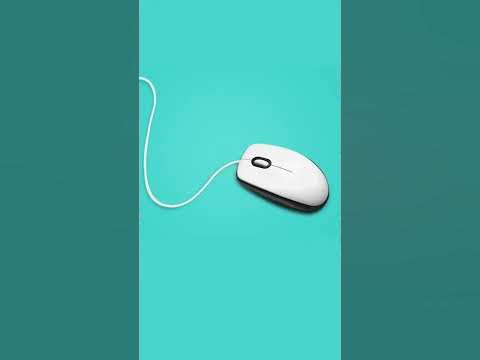 Functions of Computer Mouse - YouTube