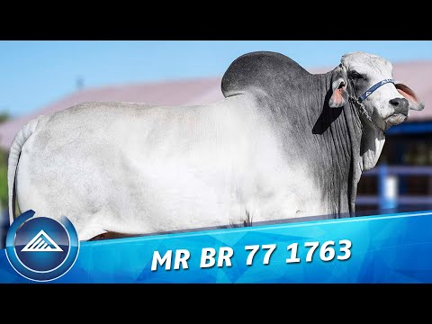 MR BR 77 1763