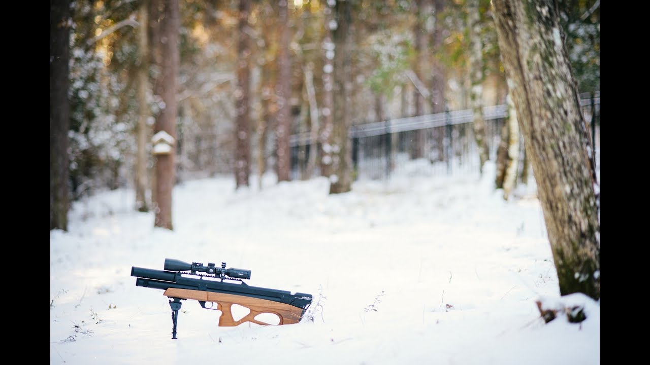 Edgun Matador R5 vs Squirrels - YouTube