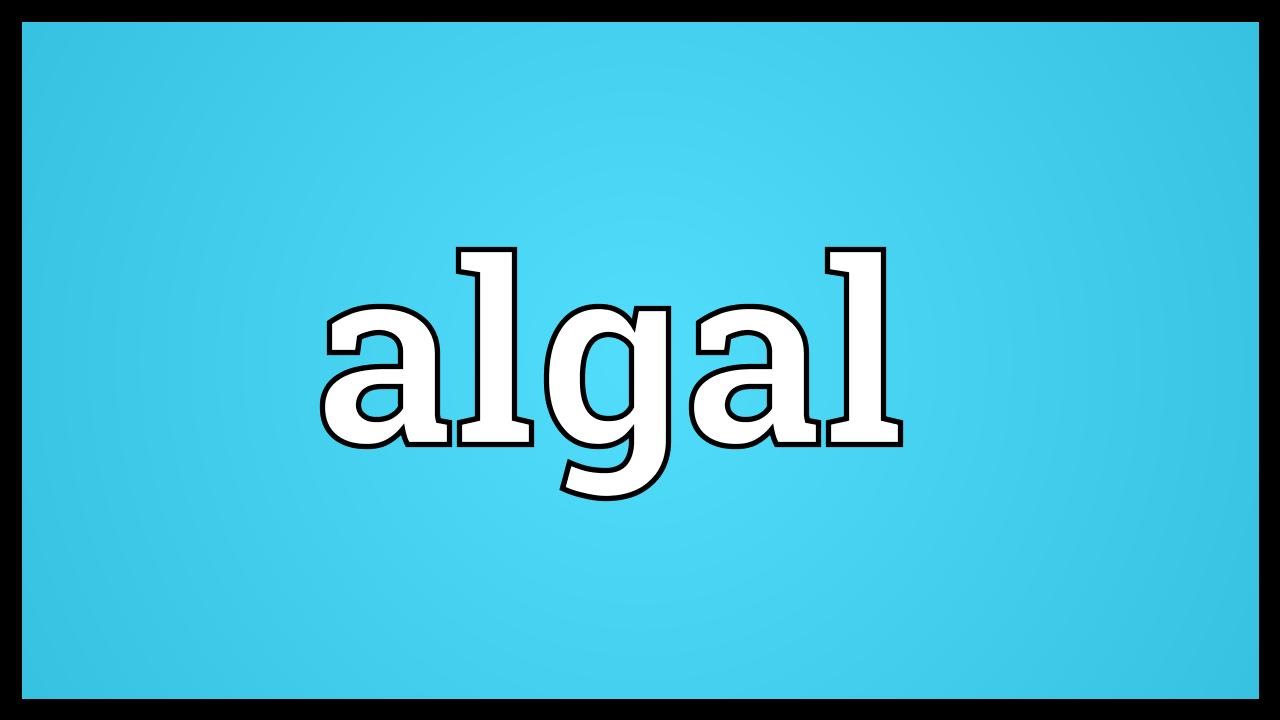Algal Meaning - YouTube