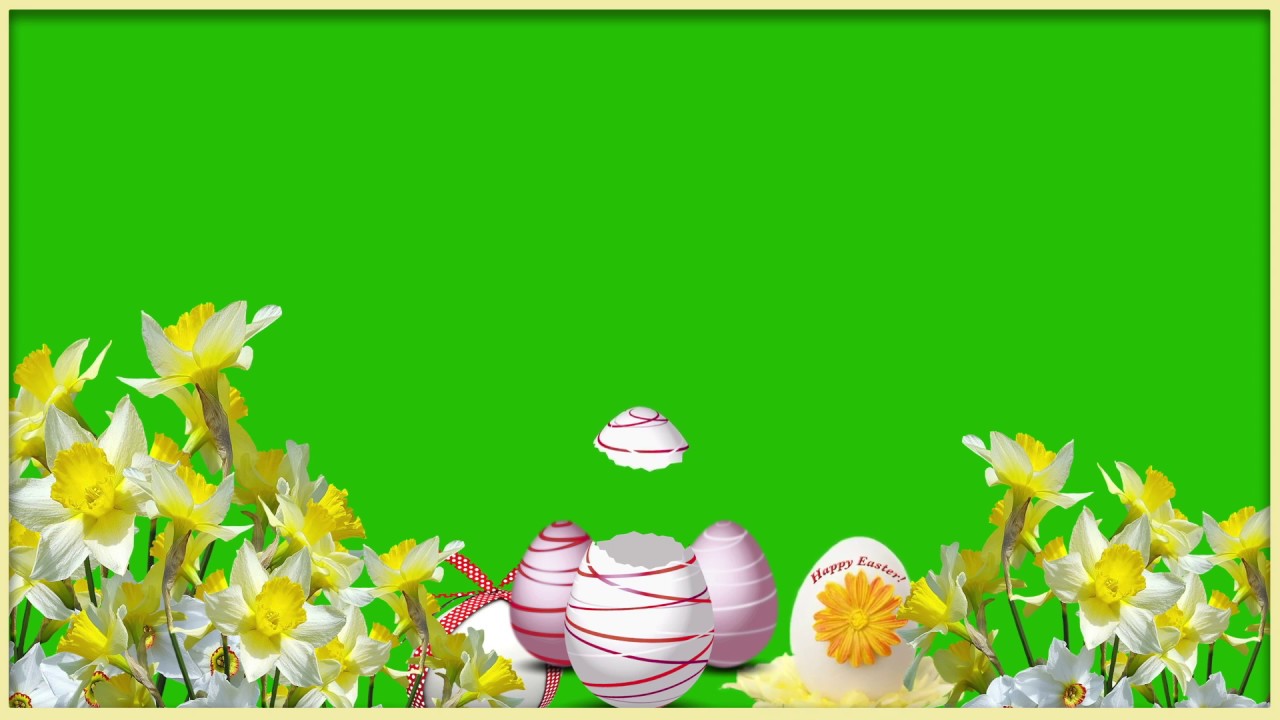 GREEN SCREEN HD FREE DOWNLOAD NO COPYRIGHT KEYNOTE EFFECTS HAPPY EASTER ...