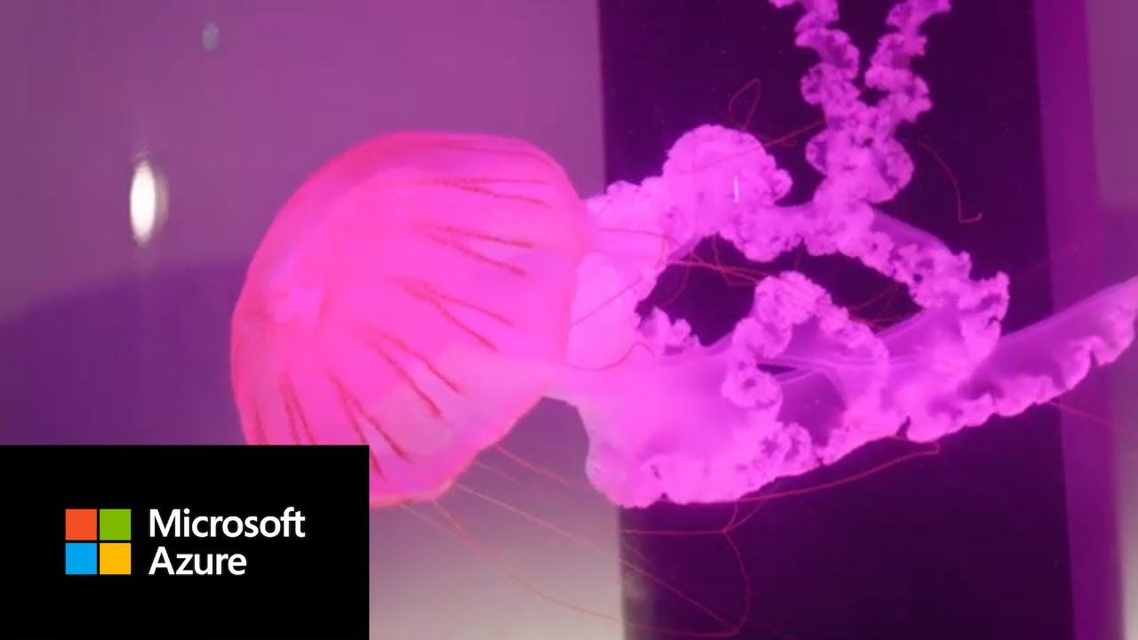 Jellyfish Pictures ramps up VFX rendering while reducing costs by 80% ...