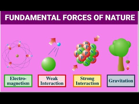 four fundamental forces , Fundamental forces in Nature , particle ...