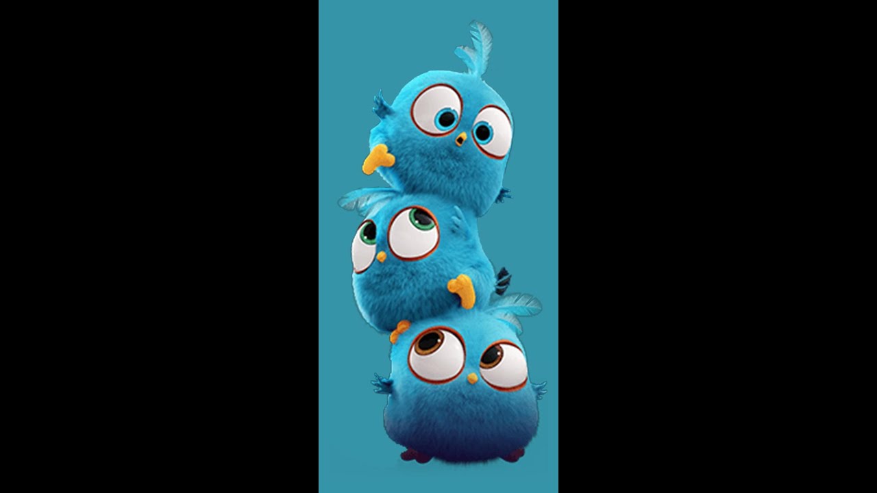 angry birds, rovio, angry birds movie, fun, angry birds toons, angry ...