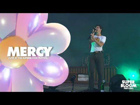 Shawn Mendes performs \