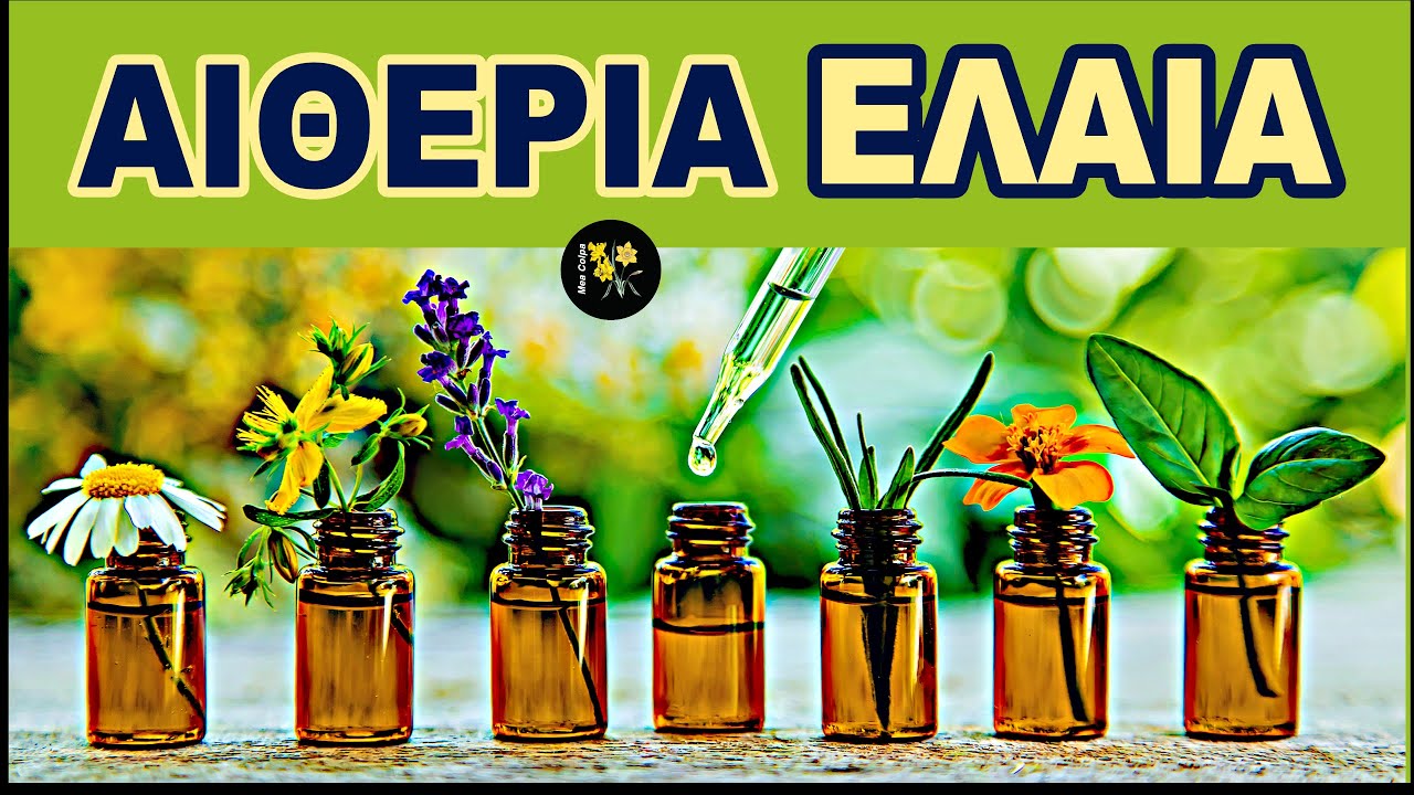 ΑΙΘΕΡΙΑ ΕΛΑΙΑ ΓΙΑ ΕΝΙΣΧΥΣΗ ΤΗΣ ΣΥΓΚΕΝΤΡΩΣΗΣ, ΤΗΣ ΜΝΗΜΗΣ ΚΑΙ ΧΑΛΑΡΩΣΗ ...