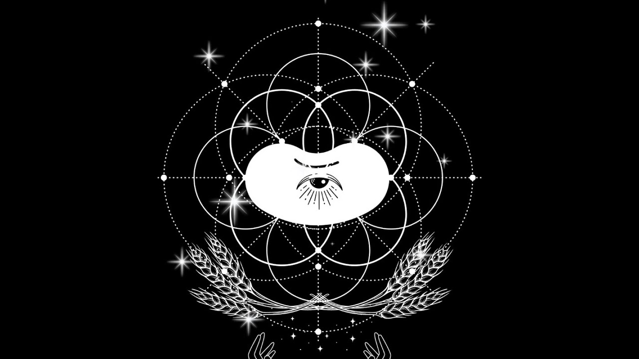 Bean Mysticism: A Glimpse of the Eternal Bean - YouTube