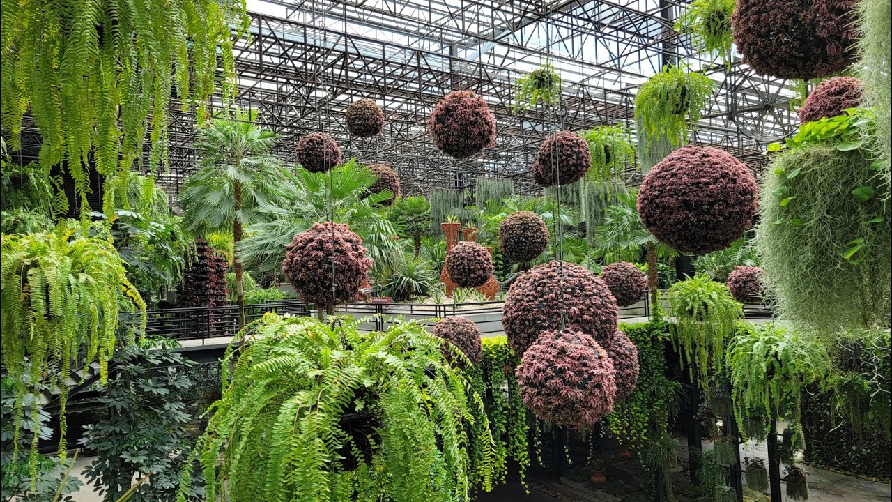 Garden in the sky Hall at Nong Nooch Botanical Garden - YouTube