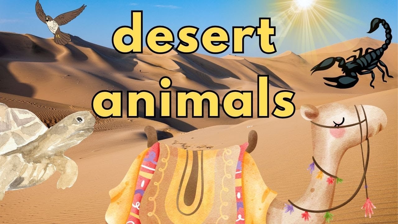 Learn Desert Animals in English - ESL Animals - YouTube