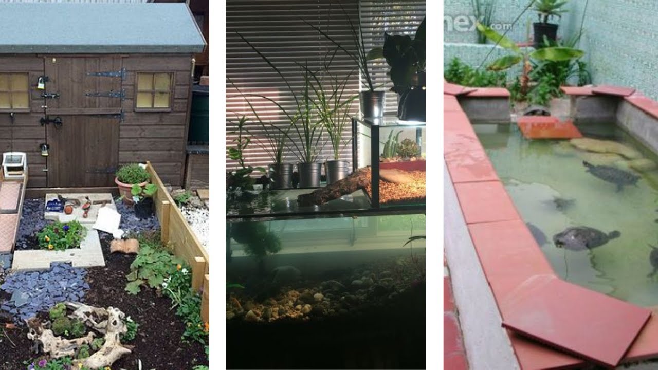 Turtle Home - Setup & Maintenance Tips for Your Aquatic Pet Habitat ...