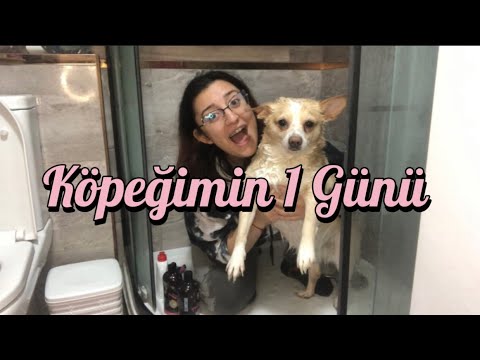 Kontes ile 1 Gün 🐶🥰