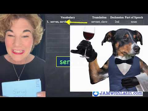 JAM with Latin Vocabulary #4 - YouTube