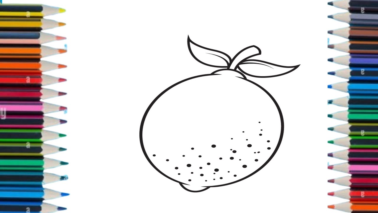 lemon Drawing, Painting, Coloring for Kids and Toddlers | Learn drawing ...