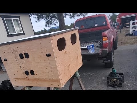 DIY Plywood dog box build. - YouTube