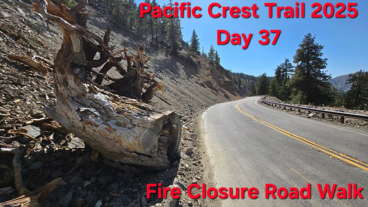 PCT 2025 Day 37 Fire Closure Road Walk - YouTube