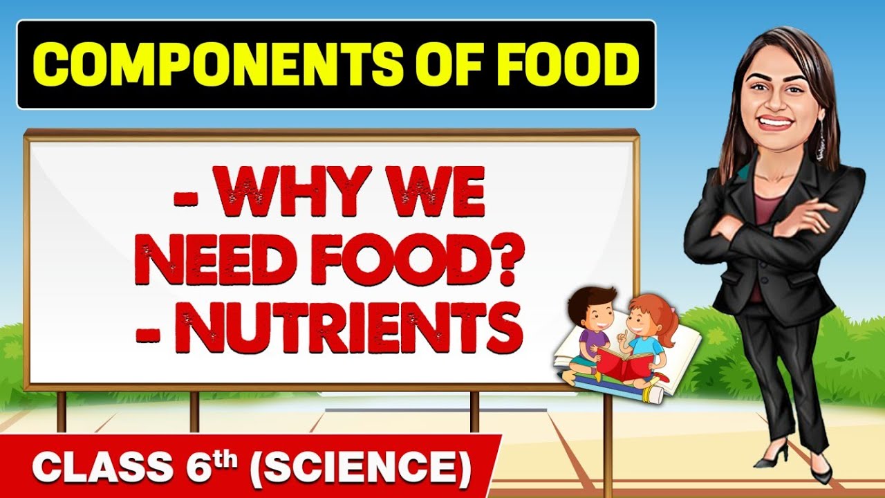 Components of Food in 1 Shot || Class 6th Science || Champs Pro - YouTube
