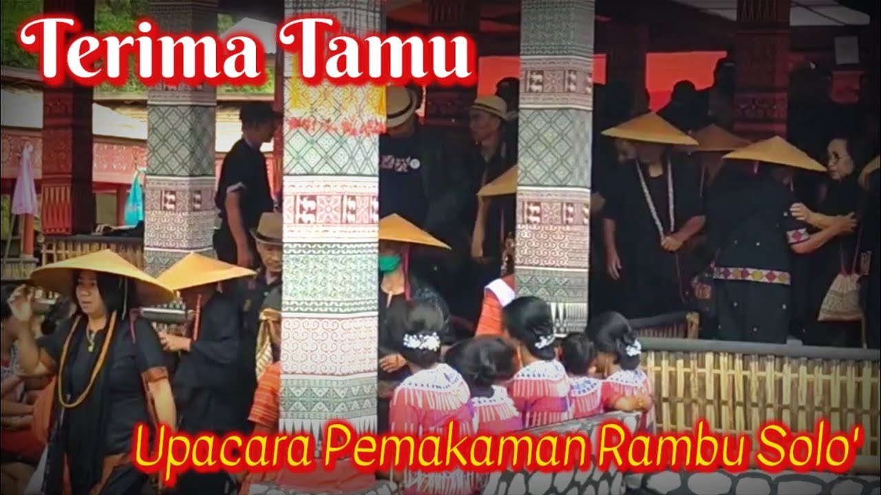 Prosesi penerimaan tamu || upacara adat pemakaman rambu solo' suku ...