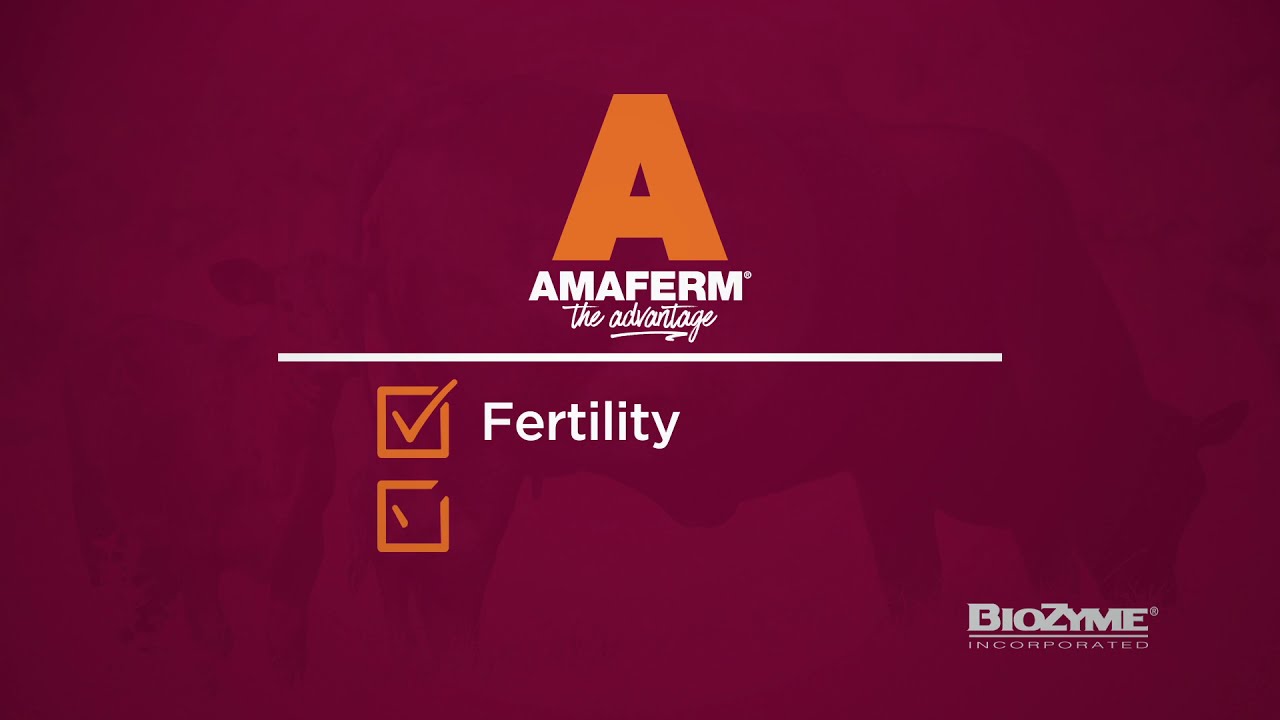 VitaFerm® Concept•Aid® 5/S HEAT® - YouTube