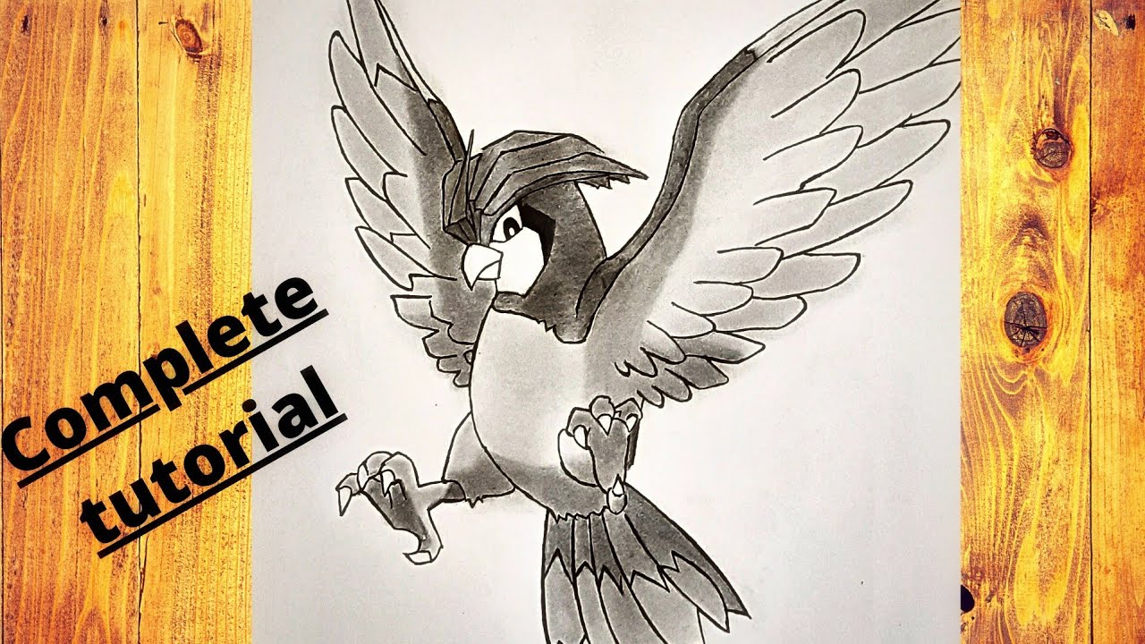 pidgeotto drawing tutorial | how to draw pidgeotto | how to draw ...