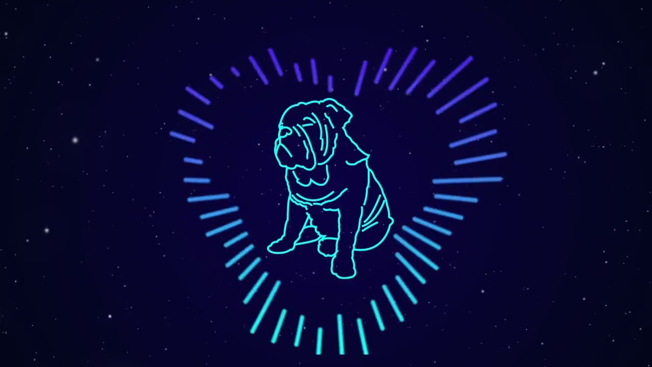 Are You Afraid Of The Dog - XVXV - YouTube Music