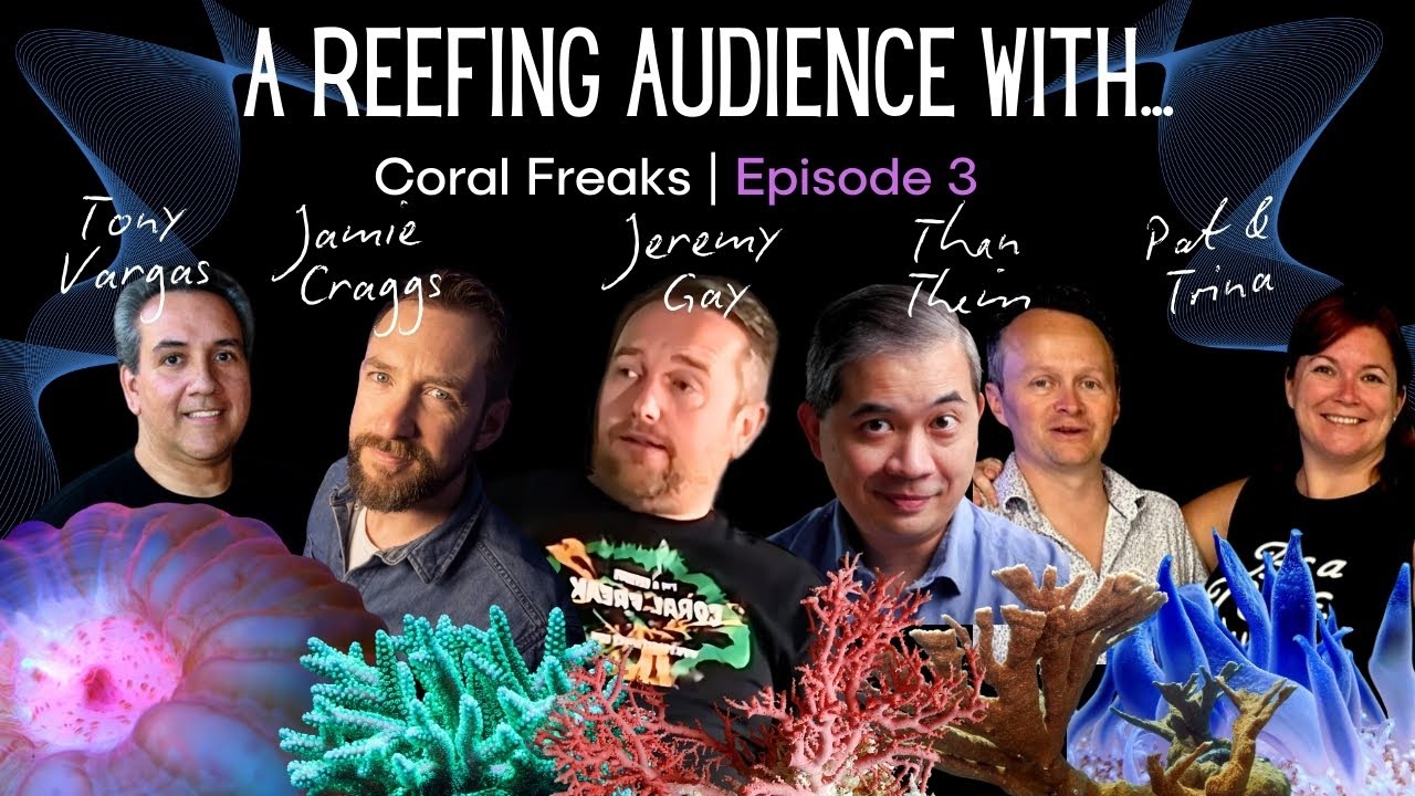 A Reefing Audience With... | Coral Freaks 2024 | Episode 3 - Reefy ...