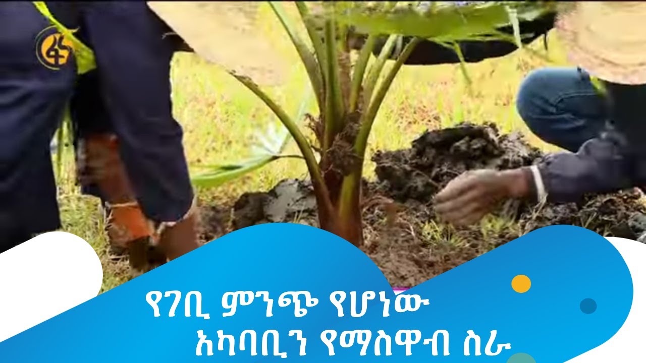 የገቢ ምንጭ የሆነው አካባቢን የማስዋብ ስራ Youtube
