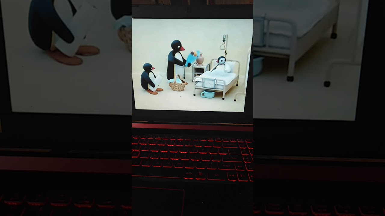 Pingu Official Channel Hospital - YouTube